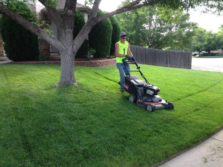 Lawn Service - Pearland TX Landscape Designs & Outdoor Living Areas Lawn Service - Pearland TX Landscape Designs & Outdoor Living Areas